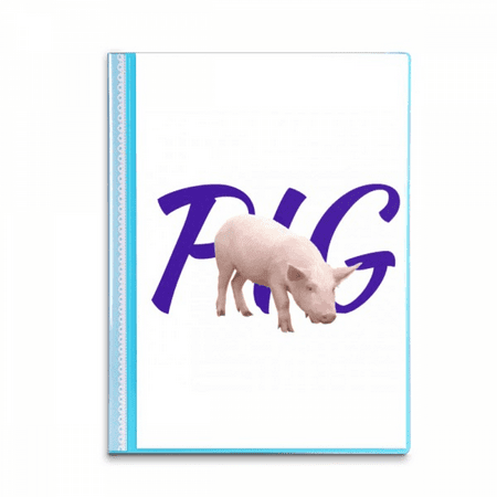 pr pig posture animals book sheet protectors portfolio binder folder ...