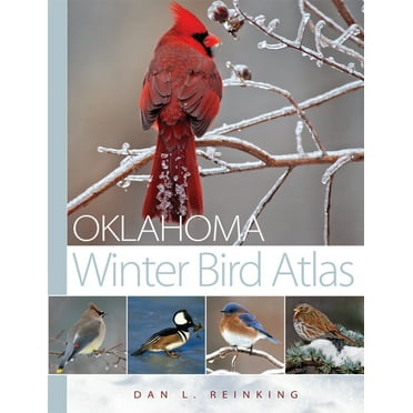Bird Identification Guides: Birds of Oklahoma Field Guide (Paperback ...