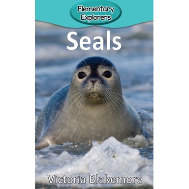 Elementary Explorers: Arctic Foxes (Paperback) - Walmart.com