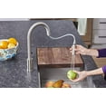 Pacific Bay Bellevue Kitchen Faucet with In-Line Pull-Down Sprayer ...