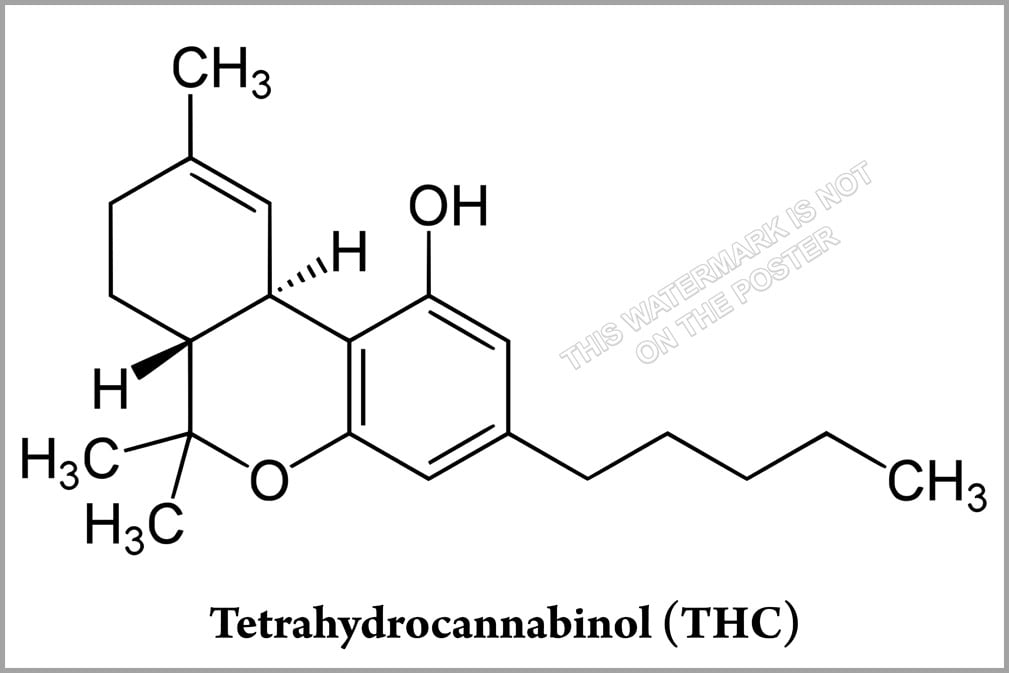 24"x36" Gallery Poster, THC molecule Tetrahydrocannabinol THC Marinol ...