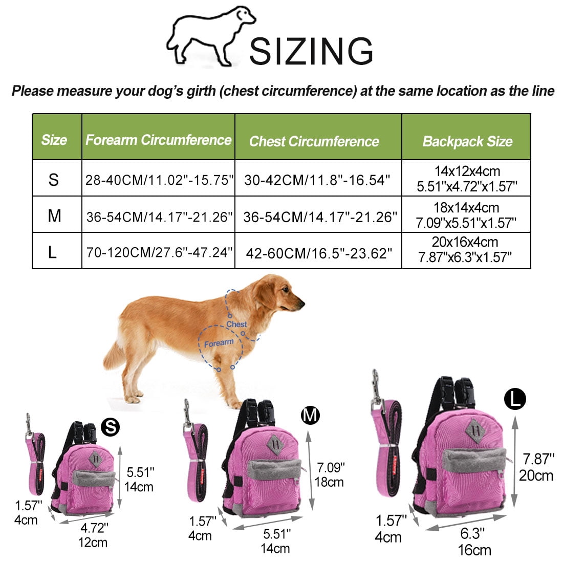 How Do You Measure A Dog For A Backpack