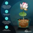 Pond Plant Potting Media, Nutrient-Rich Aquatic Soil for Water Gardens ...