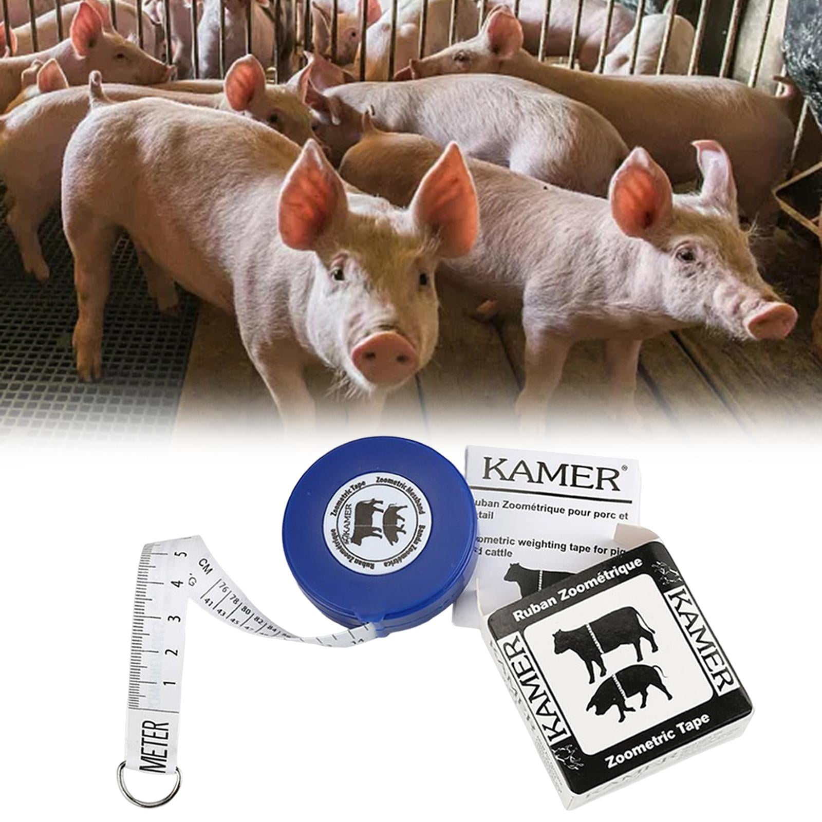 98in Pigs Cattles Weight Poultry Ruler Livestock Measurement - Walmart.com