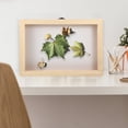 BESTYASH Shadow Glass Display Box Box Light Yellow PVC Preservation for ...