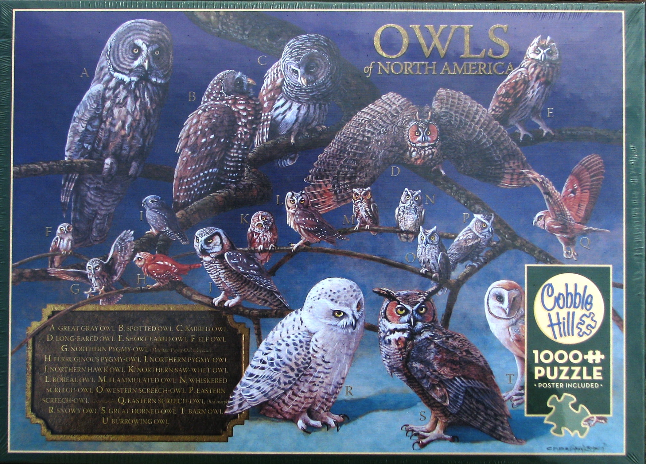 Cobble Hill OWLS OF NORTH AMERICA 1000 pc Jigsaw Puzzle Birds - Walmart.com