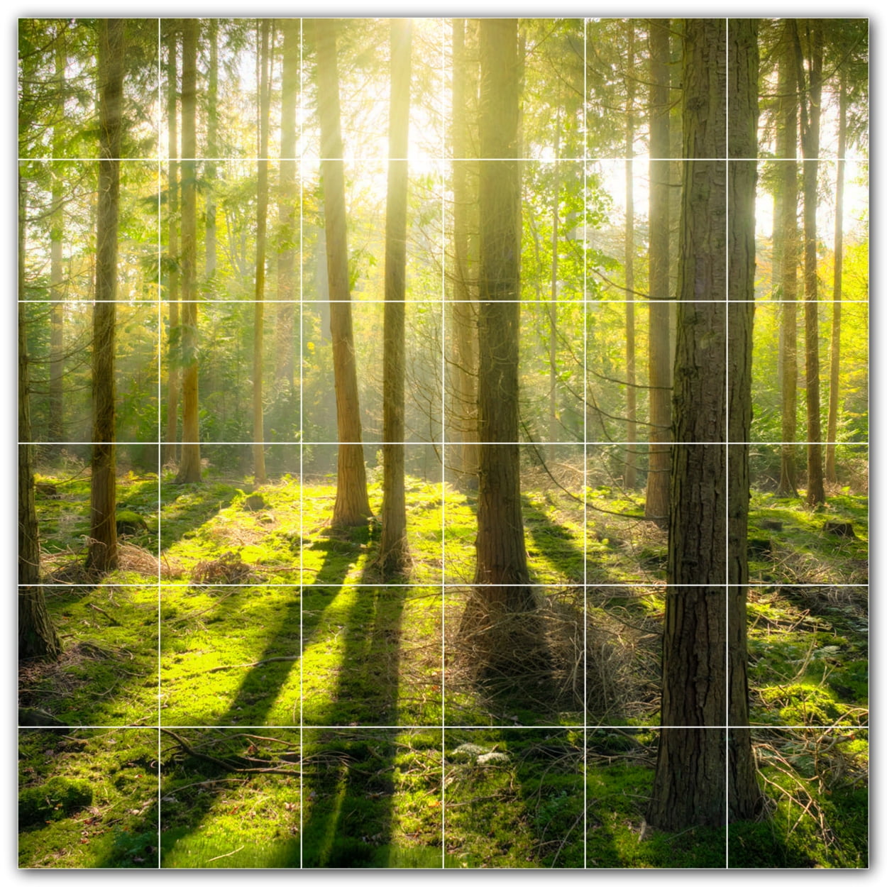 Picture-Tiles.com: Trees Ceramic Tile Wall Mural WAL501039-66XL. 72"W x ...