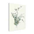 Trademark Fine Art 'Scented Sprig II Cool' Canvas Art by Danhui Nai ...