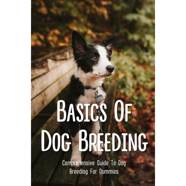 How Do You Start Breeding Dogs