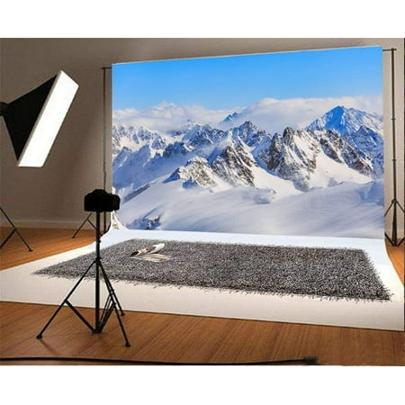 BSDHOME 7x5ft Photography Backdrop Alps in Switzerland in Wintertime ...