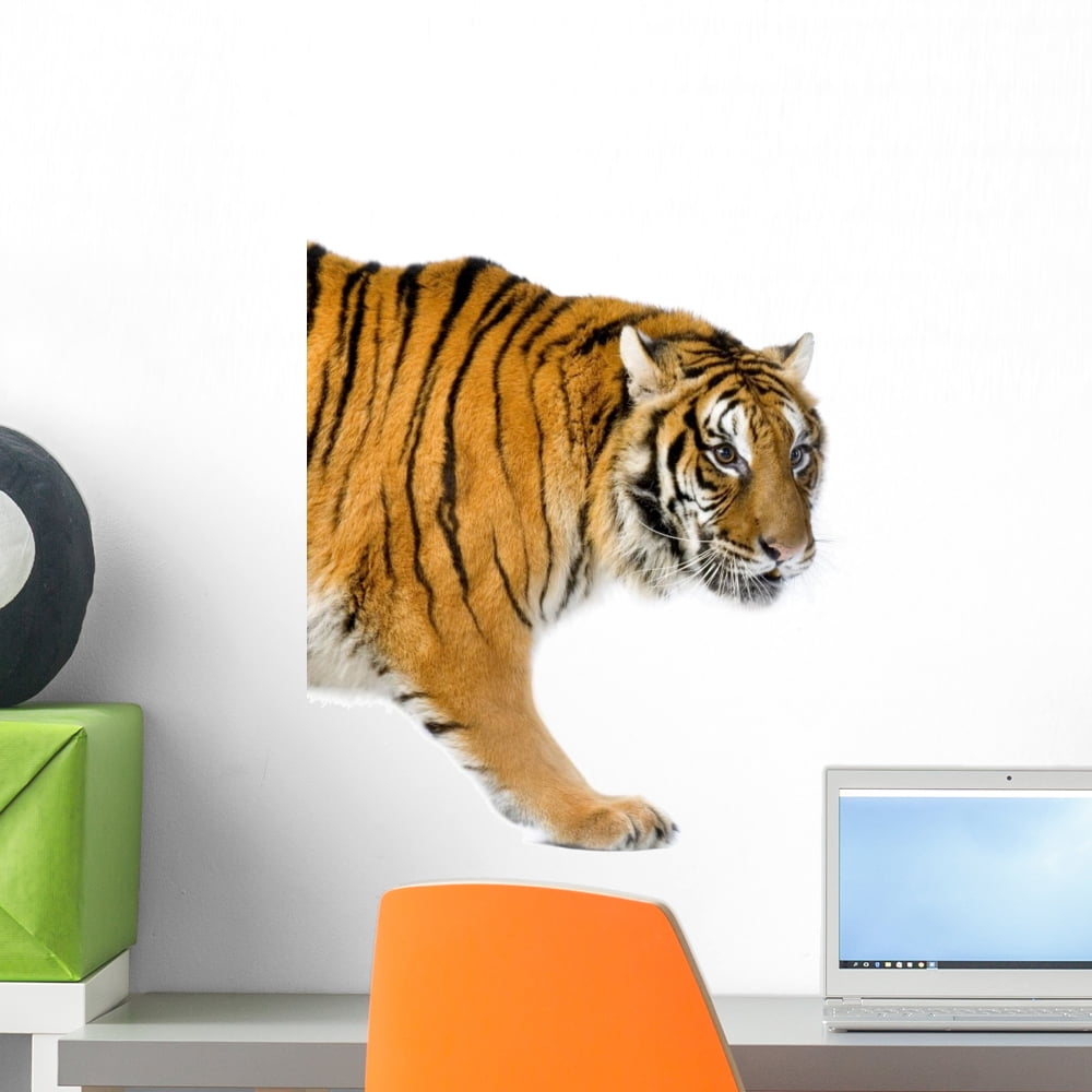 Standing Tiger Wall Decal by Wallmonkeys Peel and Stick Graphic (18 in ...