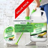 Hygea Natural Lemon Fresh All Purpose Concentrated Cleaner - Multi ...