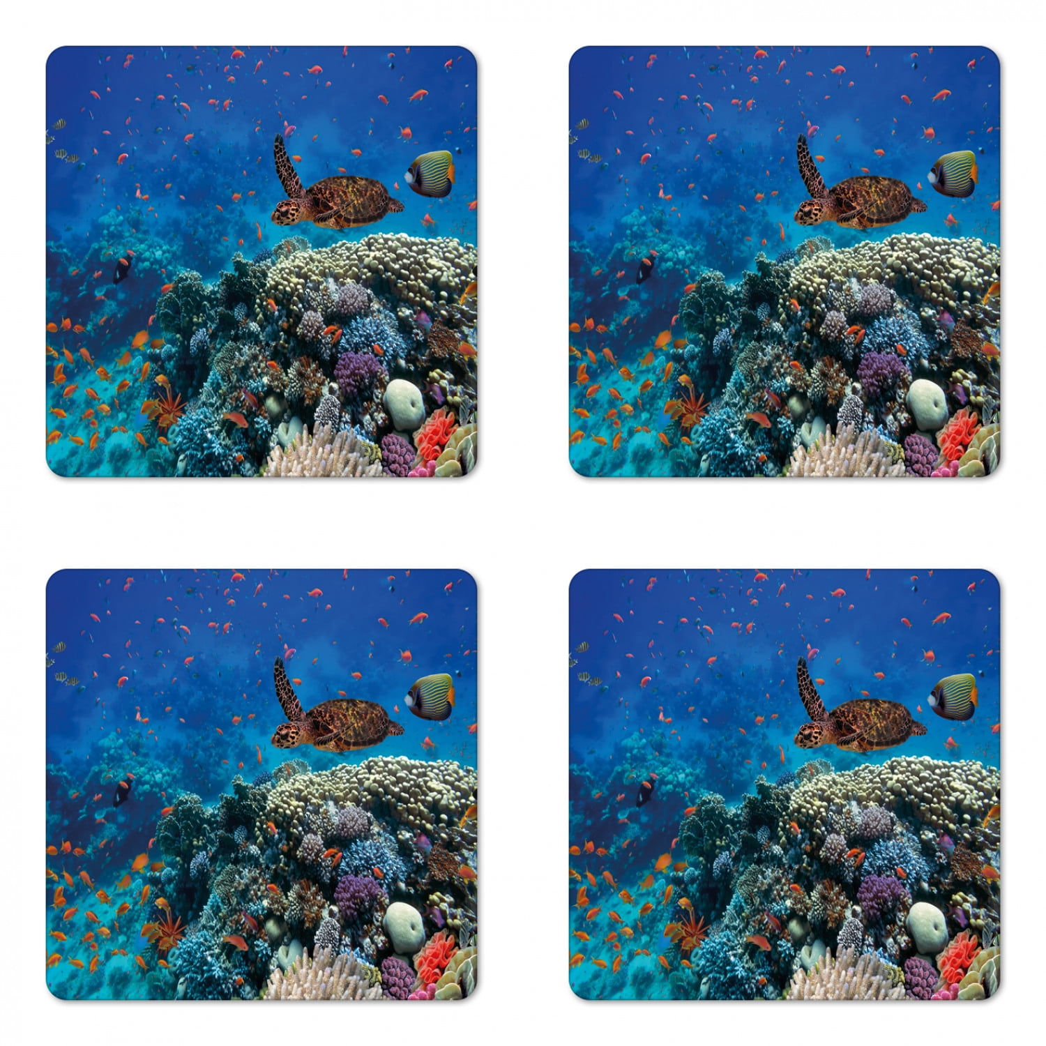 Fish Coaster Set of 4, Exotic Fish and Turtle in Fresh Water on Stony ...