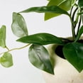 8.5" Small Trailing Hoya Leaf Potted Artificial Plant - Walmart.com