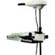 MotorGuide Trolling Motors, Saltwater Great White Edition (Hand/Transom ...