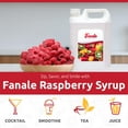 Premium Flavoring Concentrated Syrup for Bubble Tea 11 lb | Raspberry ...