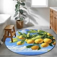 Area Rug 36in, Summer Ocean Lemon Fruit Tree Floor Carpet Living Room ...