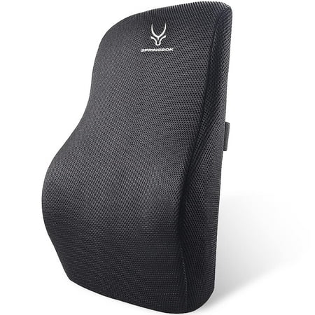 SPRINGBOK BACK REST SUPPORT FOR ALL OF ANY AGE (COMING SOON) - Walmart.ca