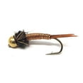 Wet Fly Assortment - 16 Popular Nymphs - 8 Patterns in Sizes 12-18 ...