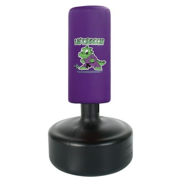Century Martial Arts Kid Kick Wavemaster Training Punching Bag Youth ...