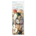 Dyed & Natural Mixed Sea Shells by Ashland® - Walmart.com