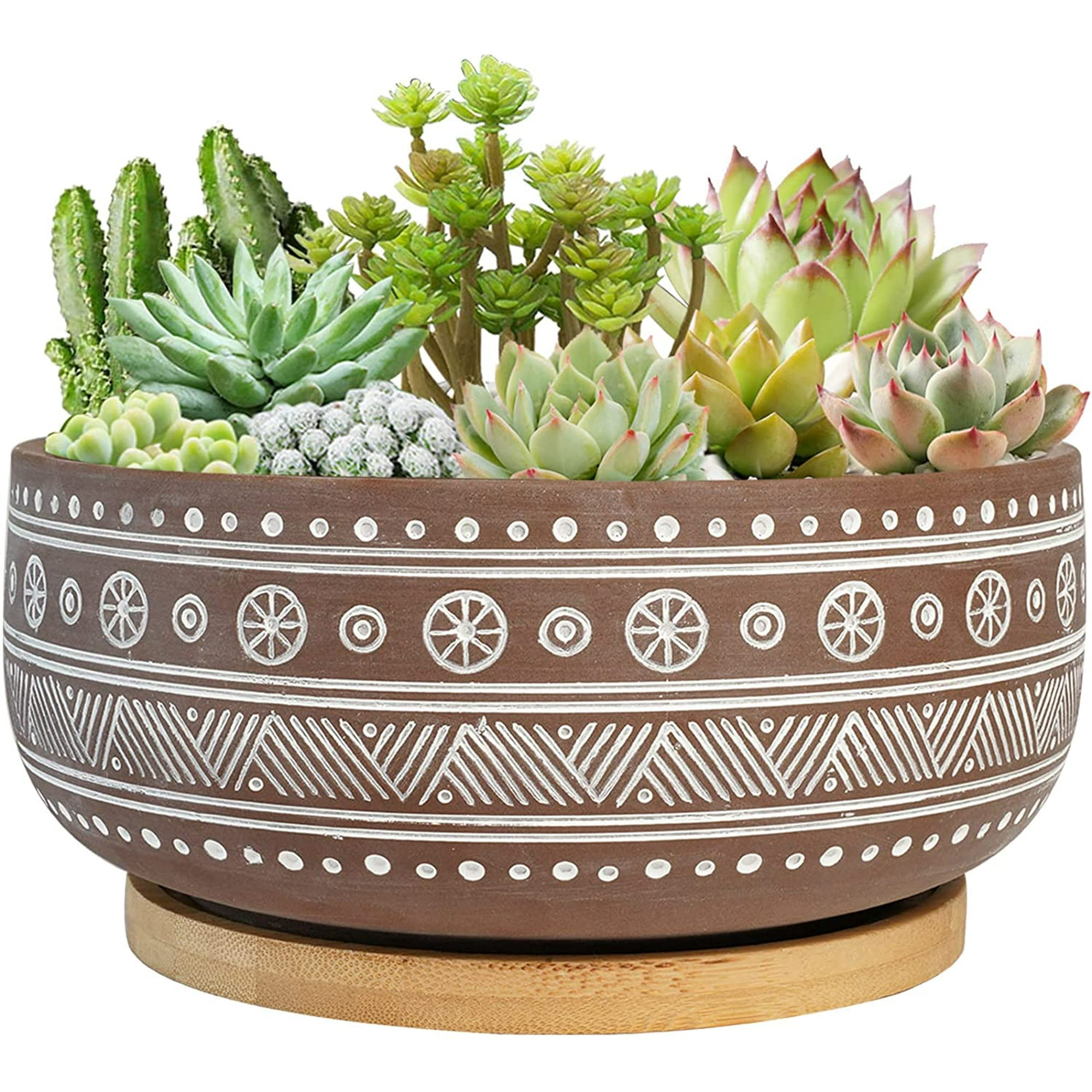 Click here for Siabc-8 Inch Terracotta Succulent Planter Pot With... prices