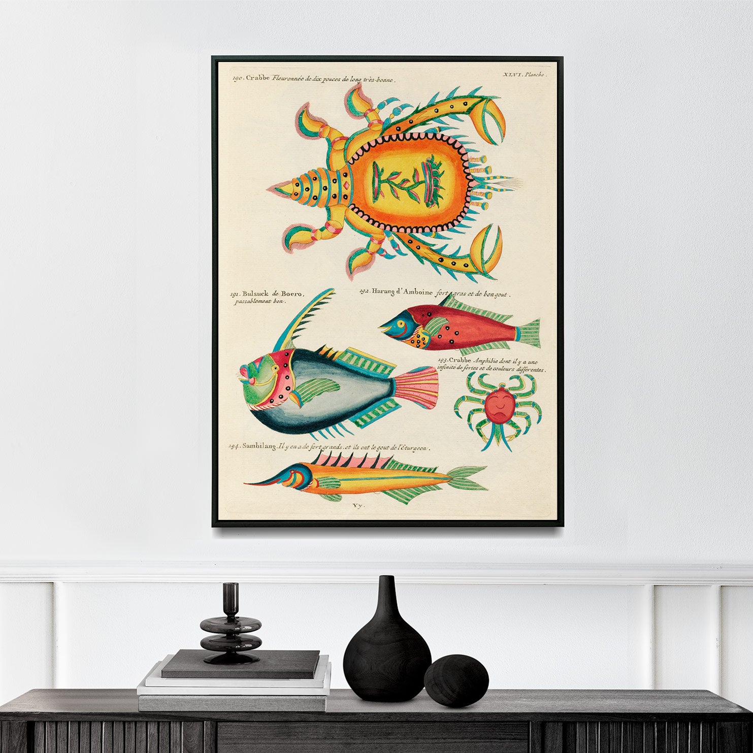 Colourful and Surreal Illustrations of Fishes and Crabs Found in the ...