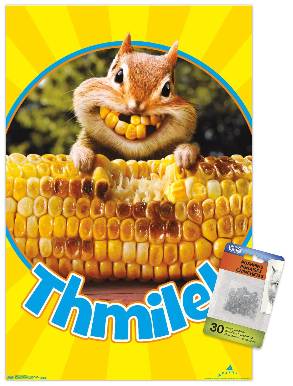 Avanti - Chipmunk Wall Poster with Push Pins, 14.725" x 22.375 ...