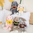 Cute Floppy Ear Bunny Stuffed Animal Set, Soft Fluffy Rabbit Plush Toys ...