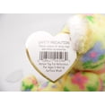 Ty Beanie Babies Bloom the Bear Plush - Walmart.com