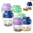 AGIUFGS Electric Garlic Chopper with 250ml Bowl, Festive Holiday ...