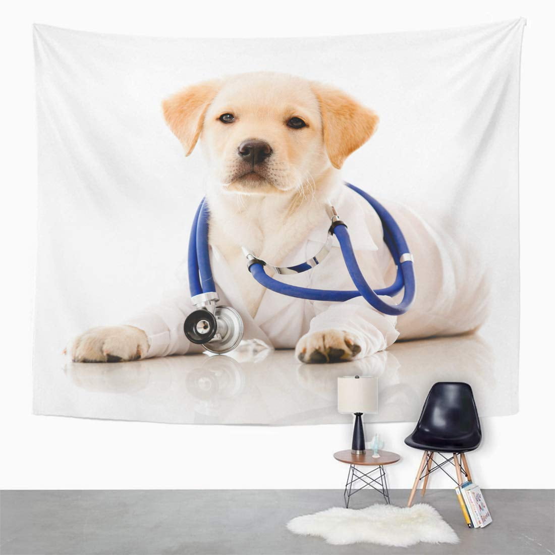ZEALGNED Veterinarian Little Dog As Vet Wearing Robe and Stethoscope ...