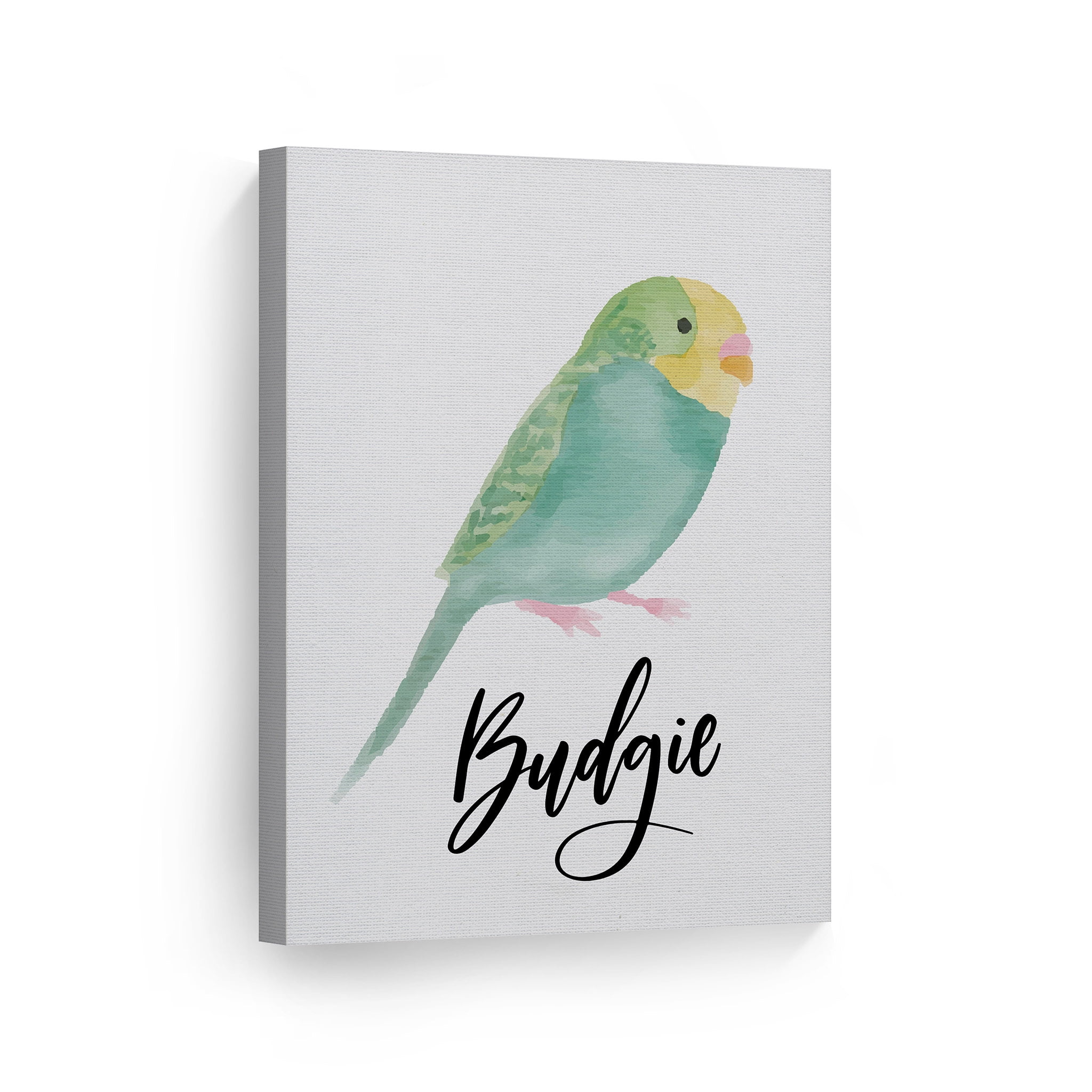Smile Art Design Cute Budgie Watercolor Painting White Background ...