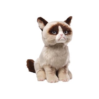 Grumpy Cat Star Wars Emperor