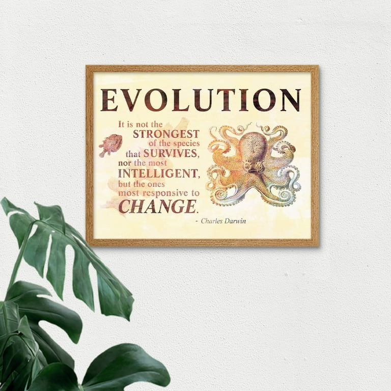 Art Evolution Quotes Your Current Experience A New Earth Quote, The