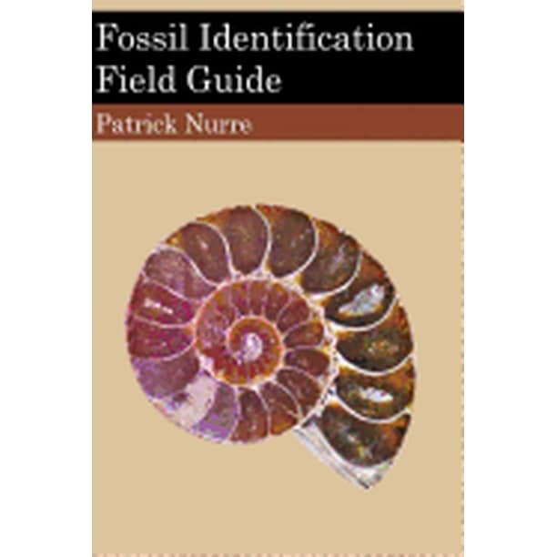 Fossil Identification Field Guide (Paperback) - Walmart.com