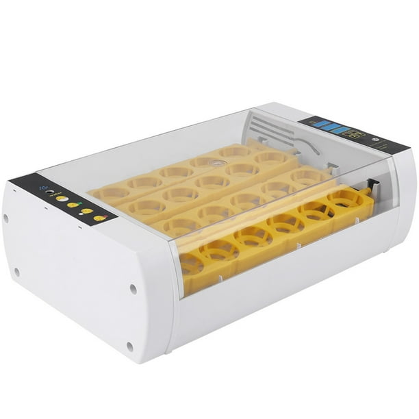 Inside Fan Display Panel Incubator Egg Hatcher, Egg Incubator, Duck For ...