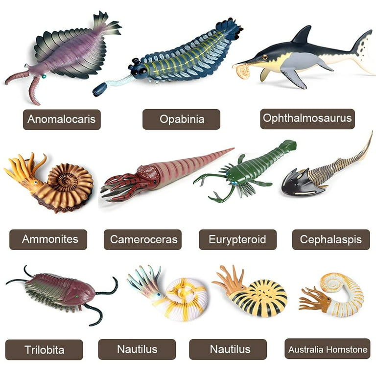 Prehistoric Sea Creatures Toys