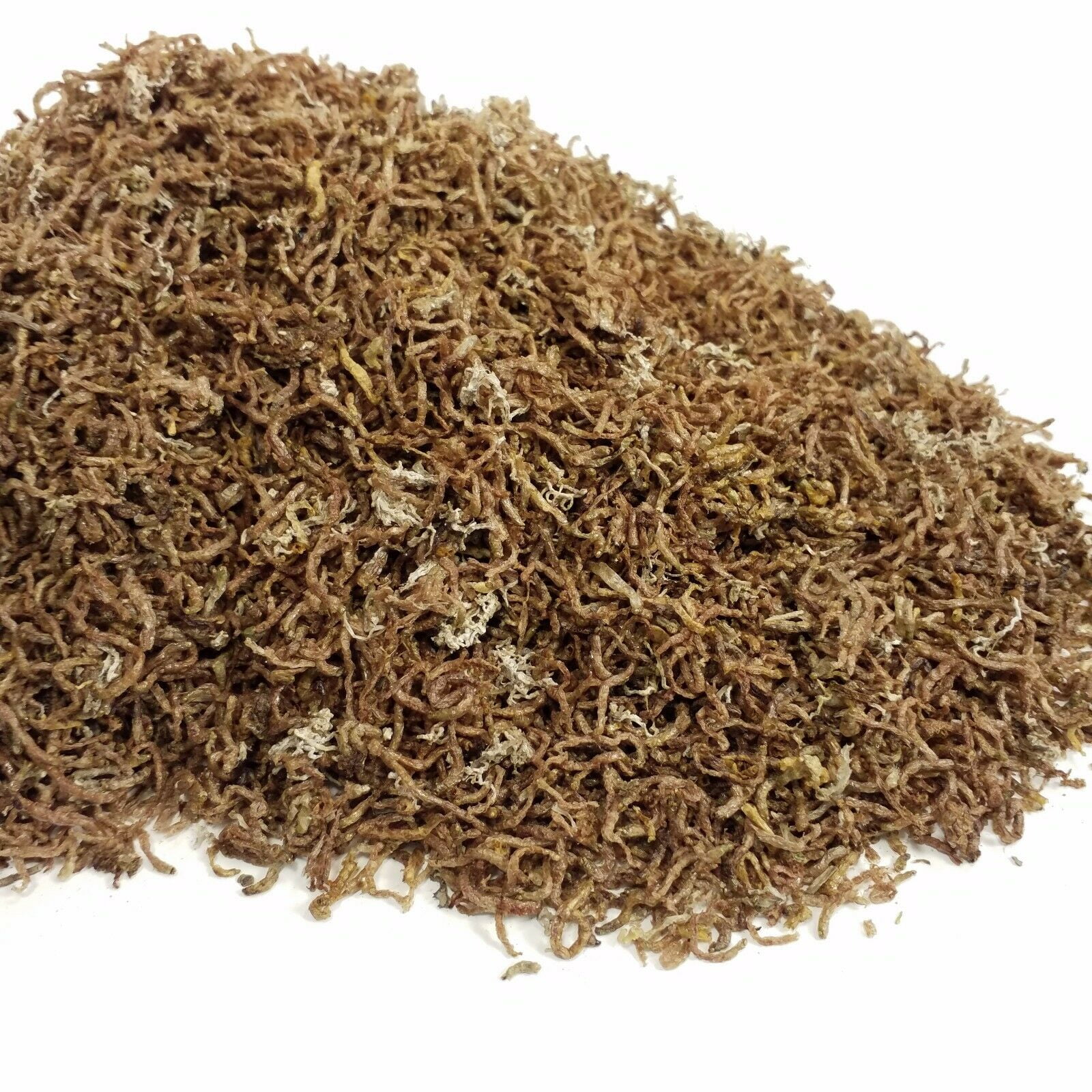 Bloodworms, Freeze Dried with Loose Tubifex Worms Mix. Grade A ...