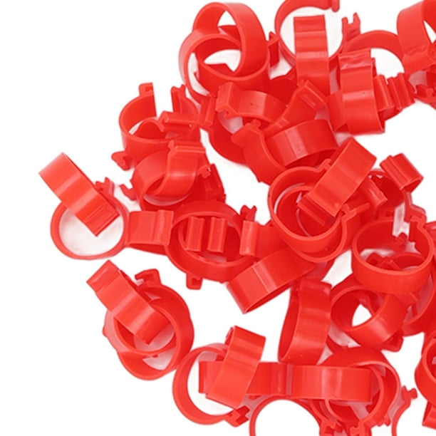 Kitchen Noodle Knife,Sliced Noodles Knife 304 Sliced Noodles Cutter ...