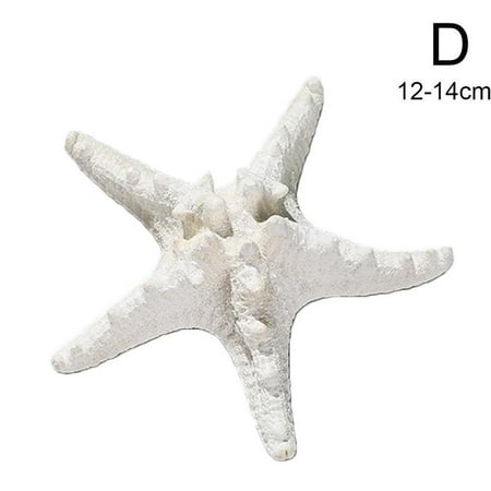 Natural Crafts White Bread Seashell Starfish Home Decorative Seashells ...