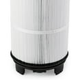 Sta-Rite S8M150 System 3 Pool Filter Cartridge, Small Inner Replacement ...