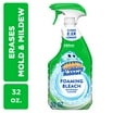 SPLASH SPOTLESS HE Washing Machine Cleaner- Deep Clean, Mold Prevention ...