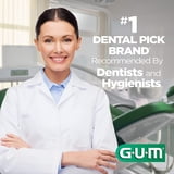 GUM Original Dental Toothpick Soft-Picks for Teeth, 100 ea (Pack of 2 ...