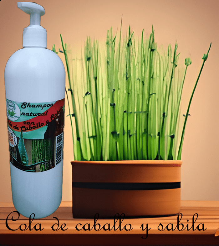 Shampoo de sabila y cola de caballo | Bodega Aurrera en línea