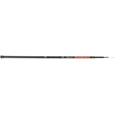 Shakespeare Durango Fishing Rod - Walmart.com