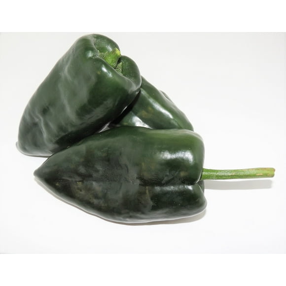 Poblano Pepper Canned