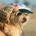 Vibrant Life Polyester Floral Dog Hat, Pink, XS/S - Walmart.com