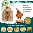 33LBS Dried Mealworms High-Protein Worms Non-GMO Fit Chicken Treats ...