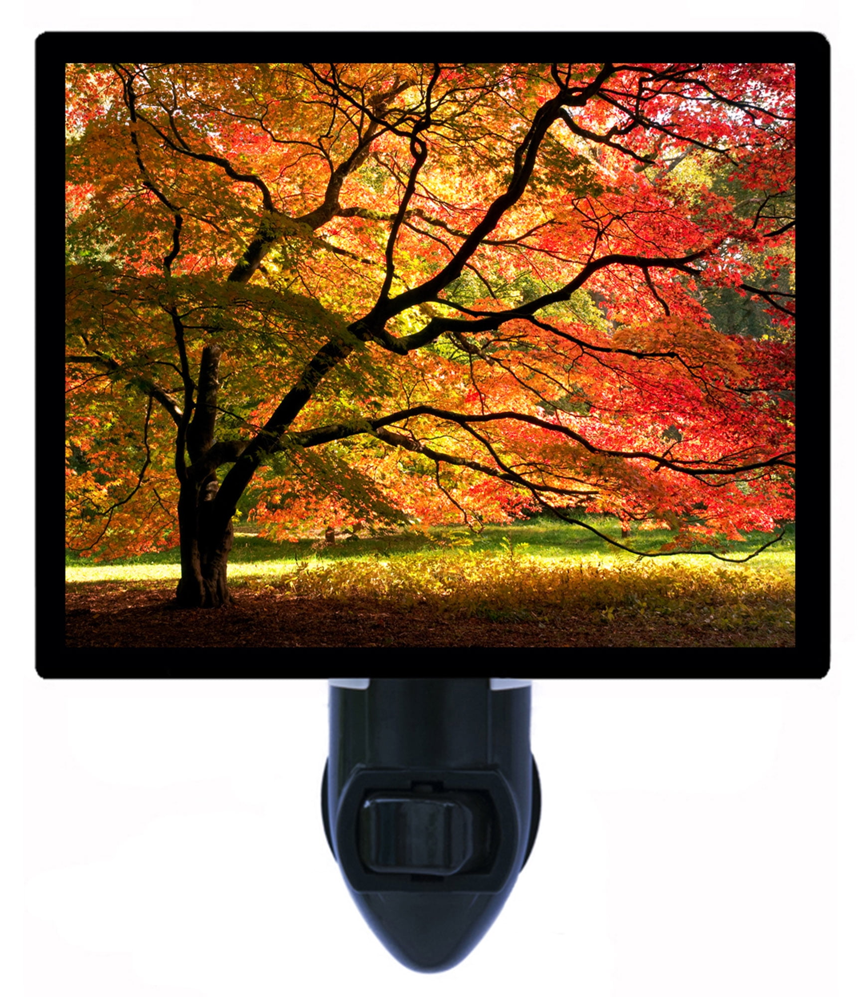 Decorative Photo Night Light Plus One Extra Free Switchable Insert. 4 ...